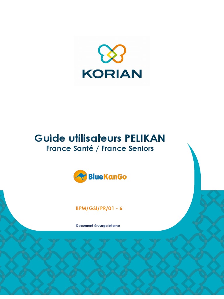 Guide Utilisateur Pelikan | PDF | Risque | Microsoft Excel