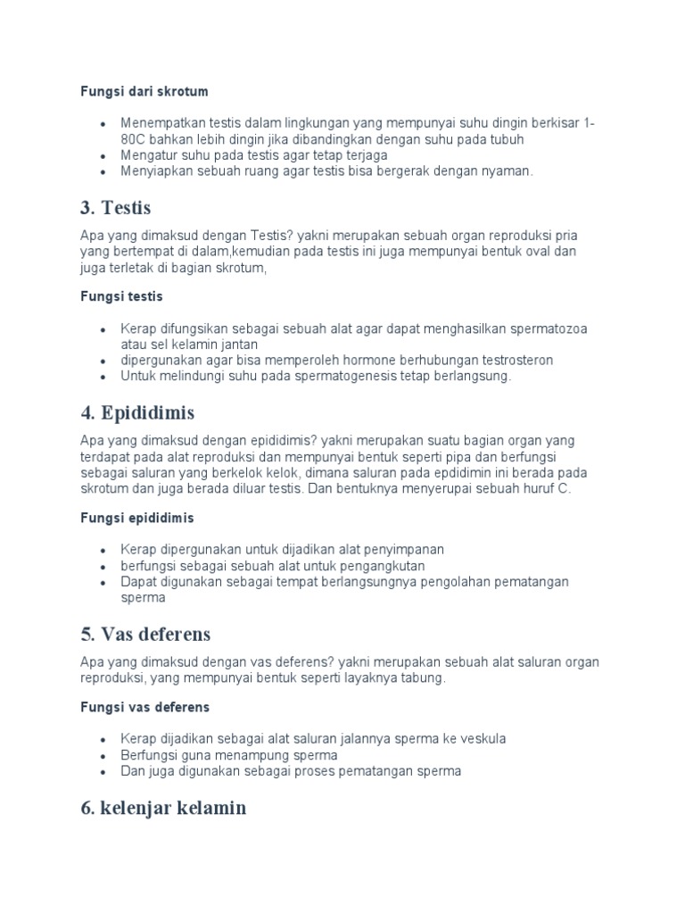 Fungsi Dari Skrotum | PDF