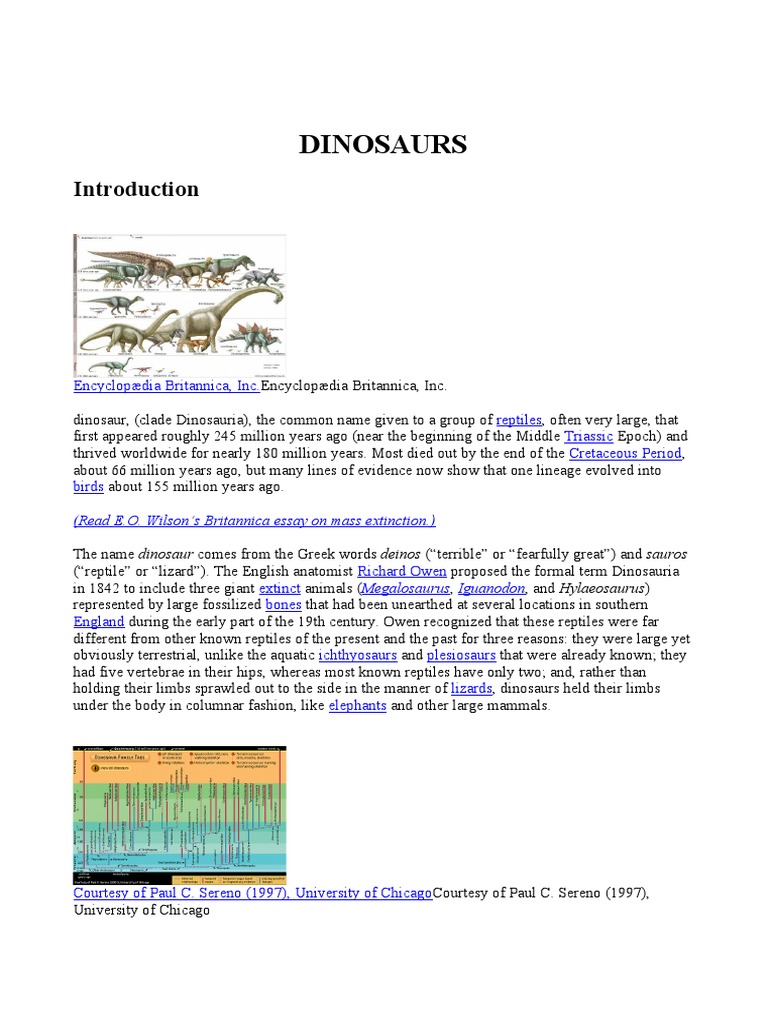 DINOSAURS | PDF | Dinosaurs | Feather