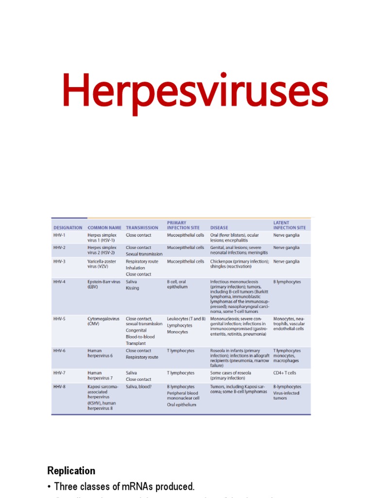 Herpes Virus | PDF