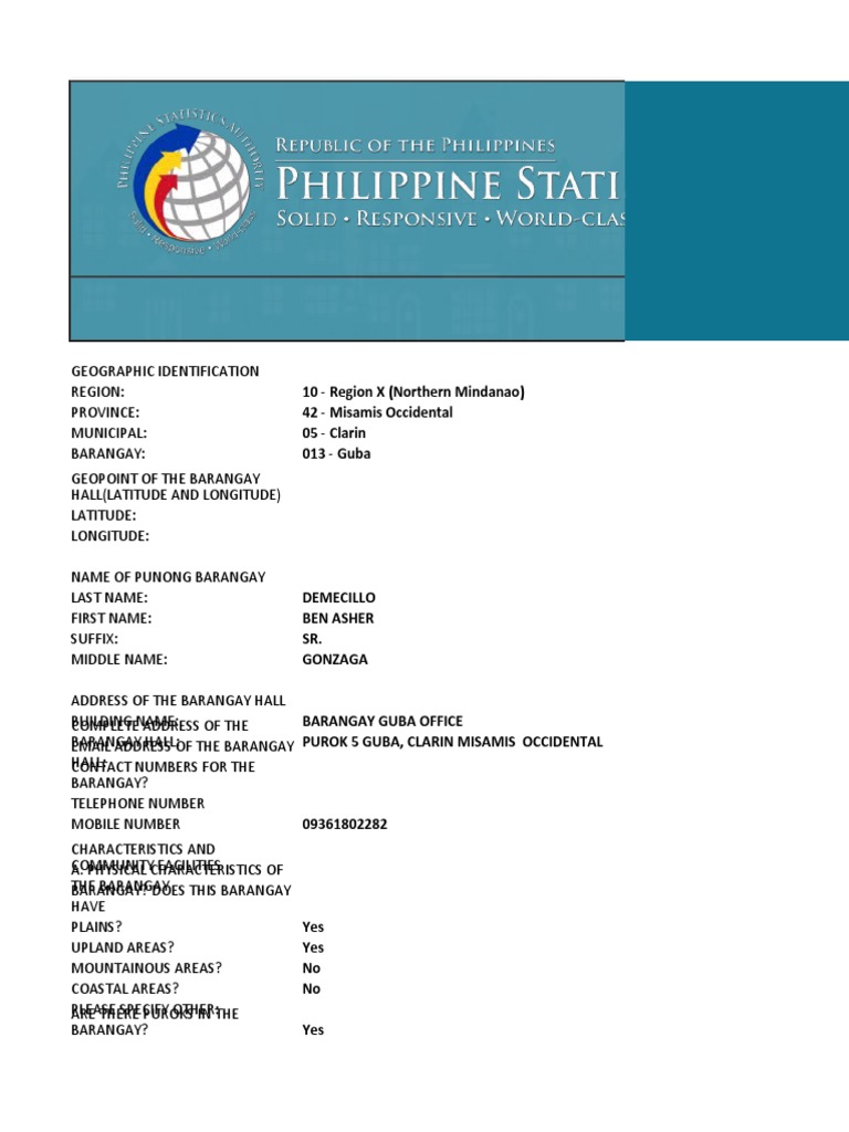 Barangay Profile Questionnaire - Barangay 013 - Guba | PDF | Municipal ...