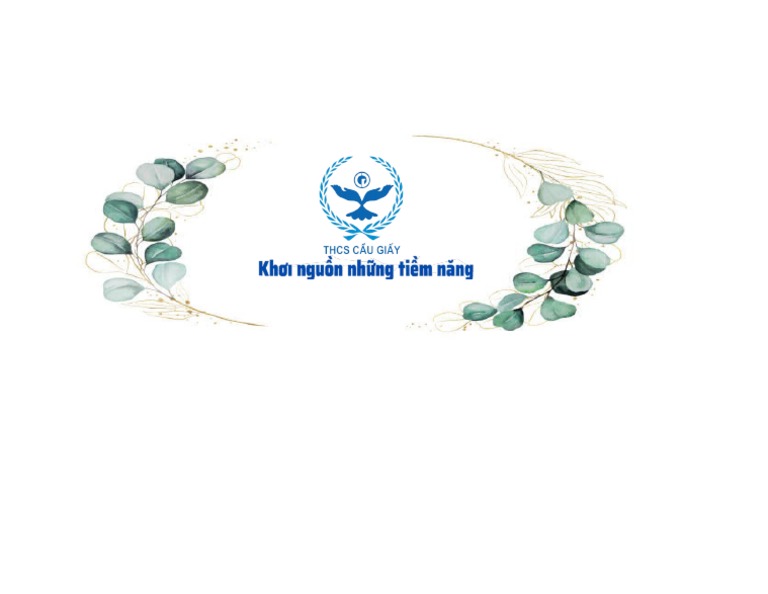 Banner CG 6 | PDF
