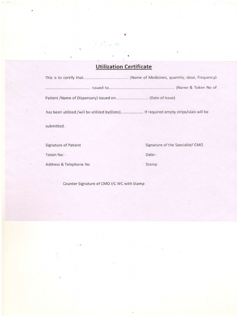 Utilization Certificate | PDF