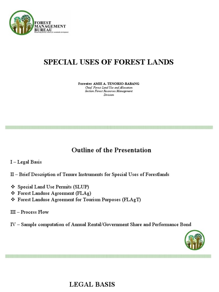 Tenurial Instrument Issuance Fmb-Flag-Flagt-Slup-Cebuv2 | PDF