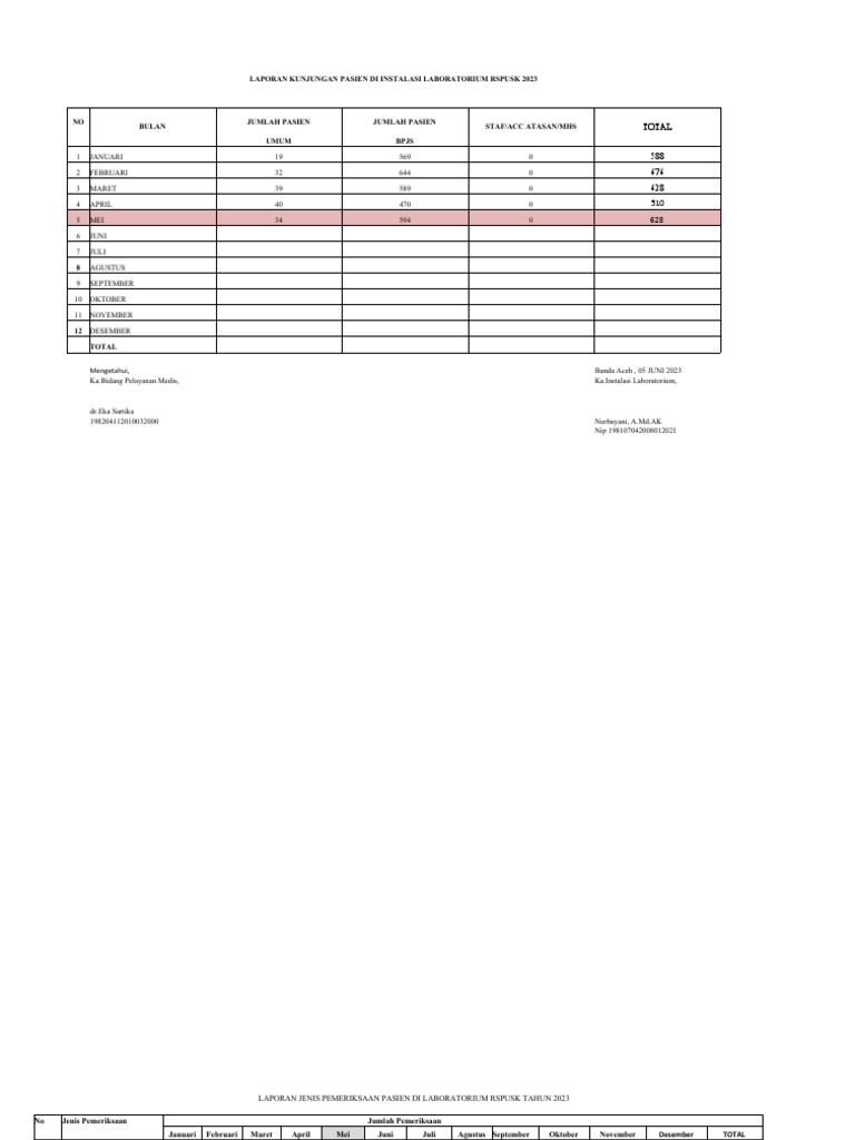 Laporan Kunjungan Pasien 2023 | PDF