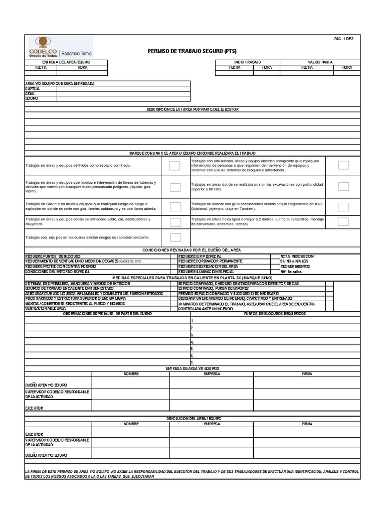 Formato PTS DRT Ver.1 | PDF | Ciencias fisicas | Naturaleza