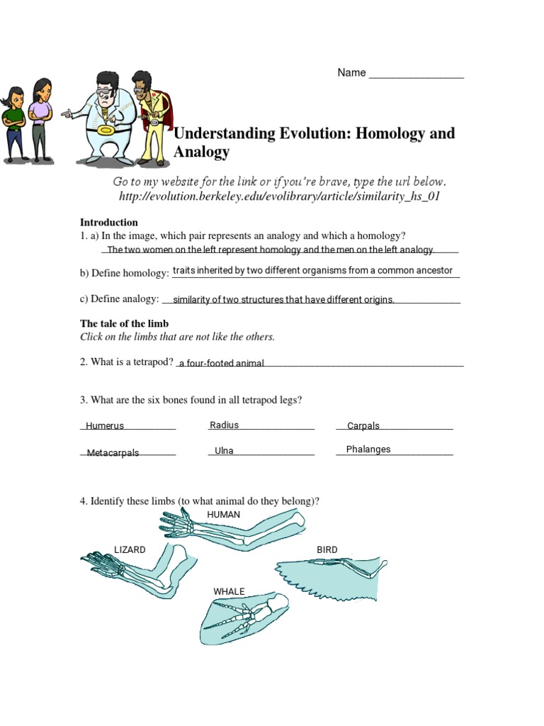 Homology and Analogy Webquest | Download Free PDF | Homology (Biology ...