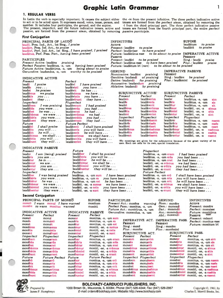 Latin Grammar | PDF | Grammar | Syntactic Relationships