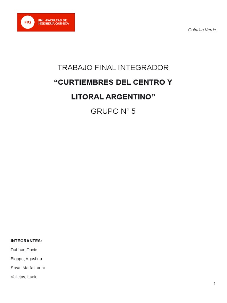 Trabajo Final Integrador | PDF
