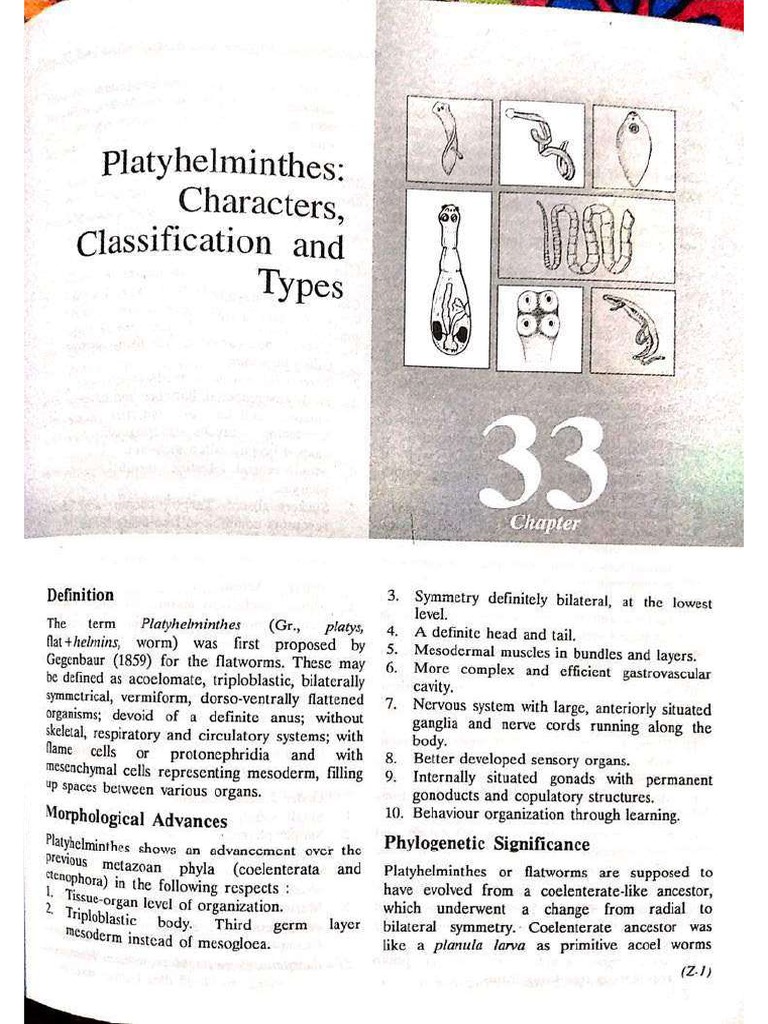 Dokumen - Tips Modern Text Book of Zoology Invertebrates by RL Kotpal | PDF