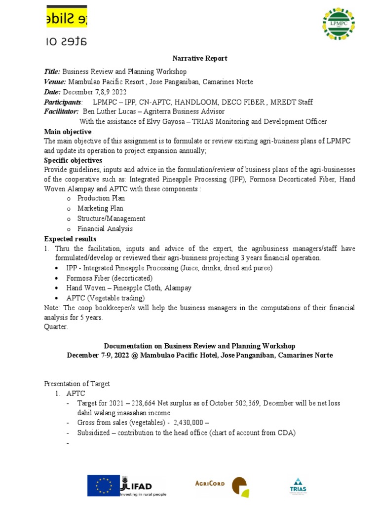 Narrative Report - Business Planning | PDF