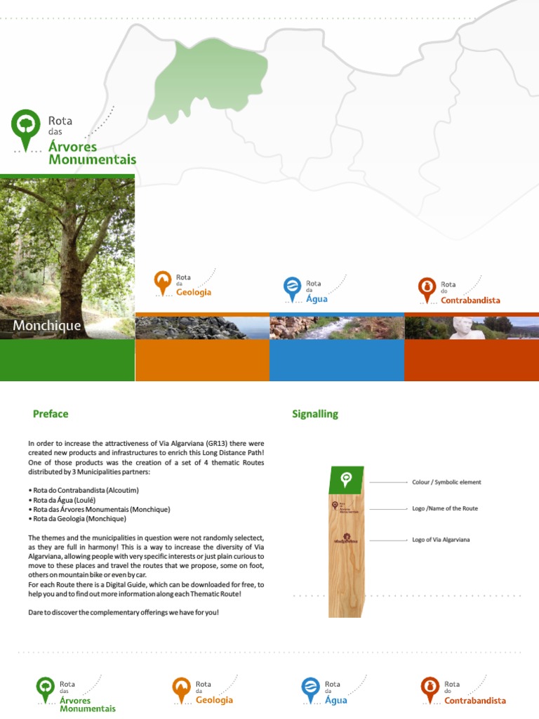 Rota Das Arvores Monumentais ViaAlgarviana EN Web | PDF | Eucalyptus ...