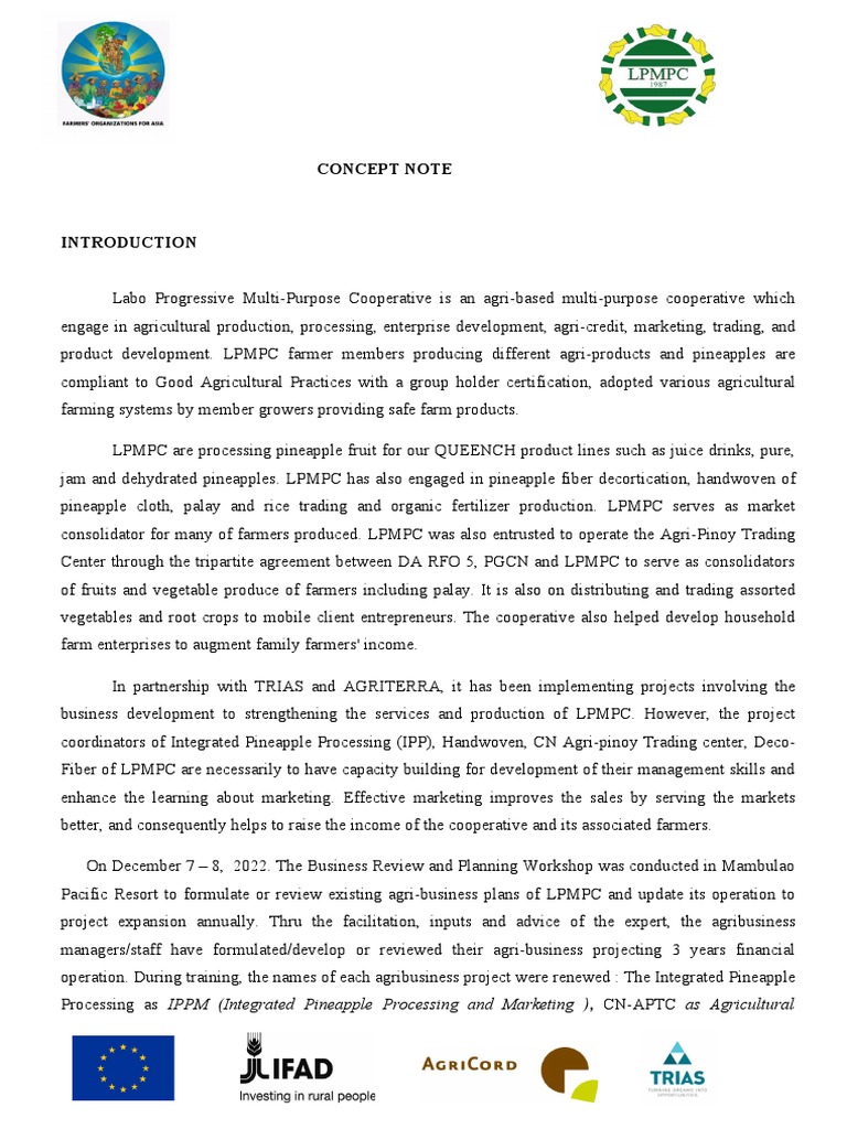 Business Plan Final | PDF