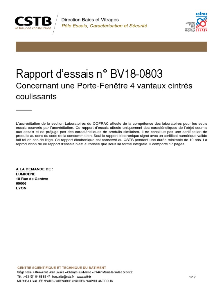 Rapport-CSTV-AEV | PDF