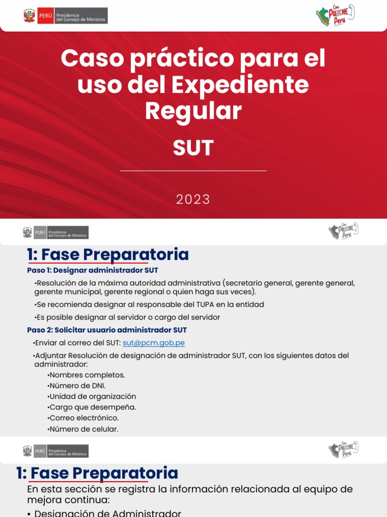 Caso Practico - SUT | PDF