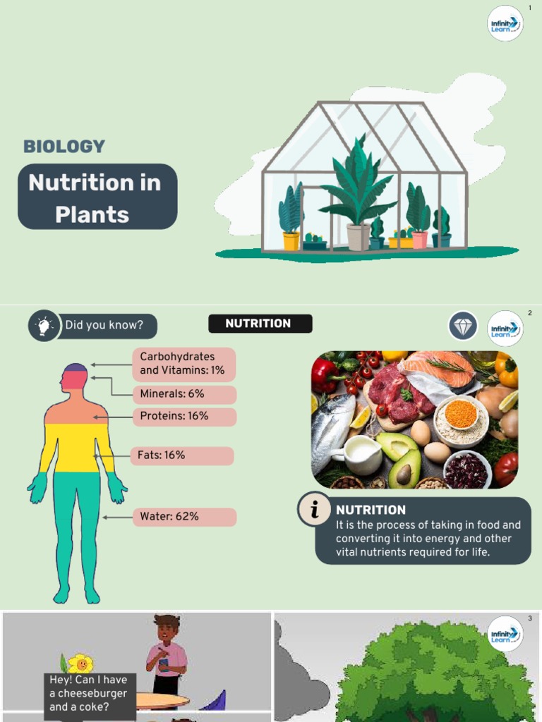 G7 Nutrition In Plants Pdf Nutrition Diet Nutrition