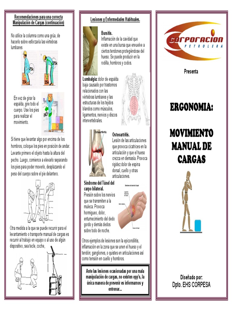 Triptico-Levantamiento Manual de Carga | PDF | La columna vertebral | Hombro