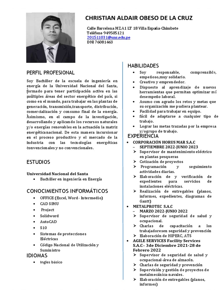 Cv-001 Christian Obeso | PDF | Economias | Business