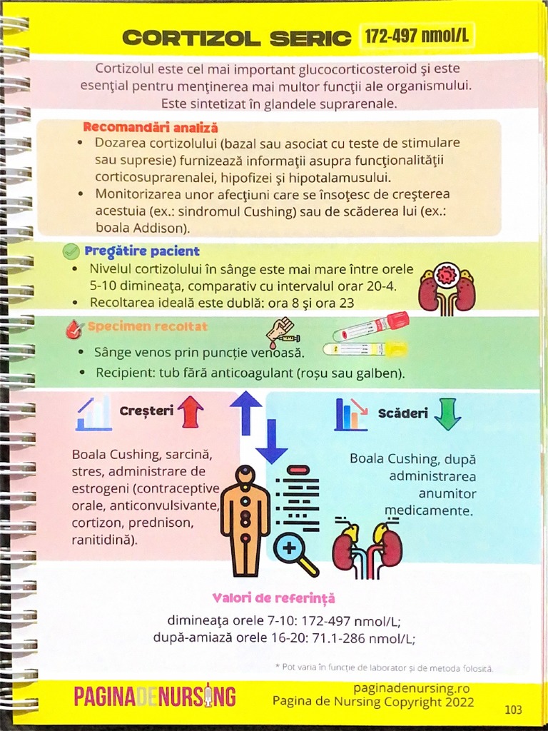 Document Scanat 3 | PDF