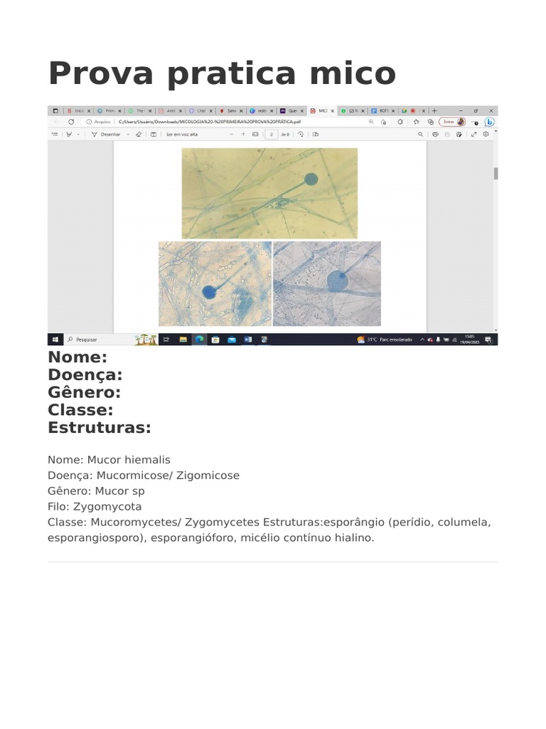 Prova Pratica Mico | PDF | Fungo | Micologia