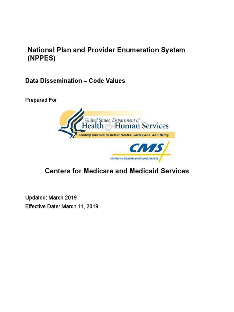 NPPES Code Values Data Guide | PDF | Freight Transport | Written ...