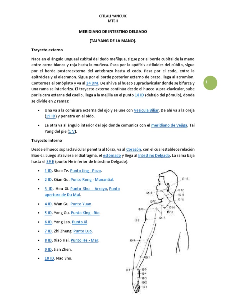 Meridiano de Intestino Delgado | PDF | Medicina | Medicina CLINICA