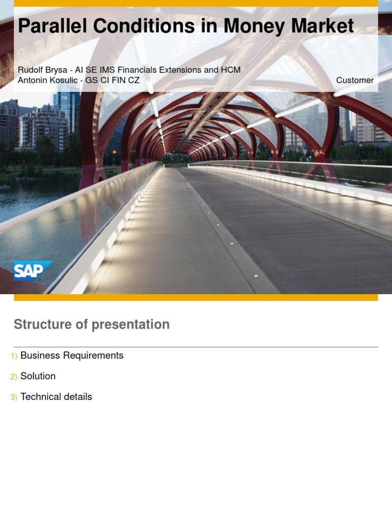 Parallel Conditions in Money Market | PDF