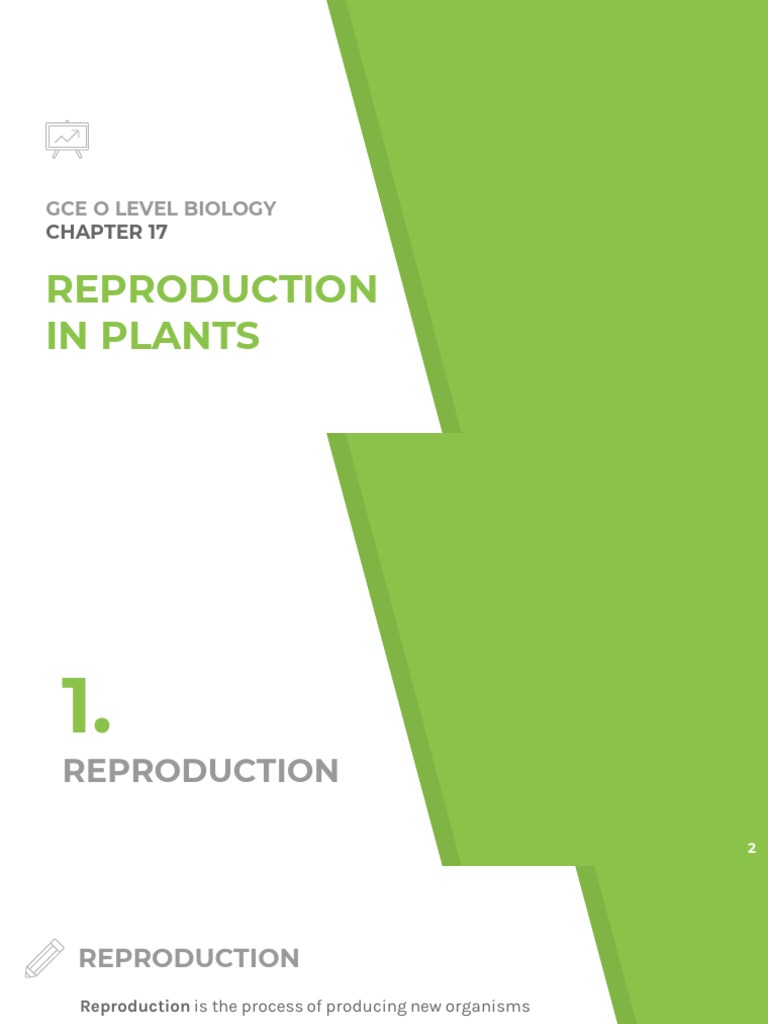O Level Biology 17 Reproduction in Plants | PDF | Flowers | Sexual ...