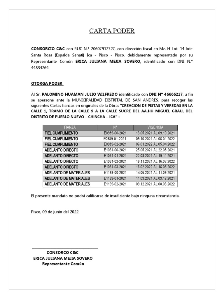 Carta Poder 2022 | PDF