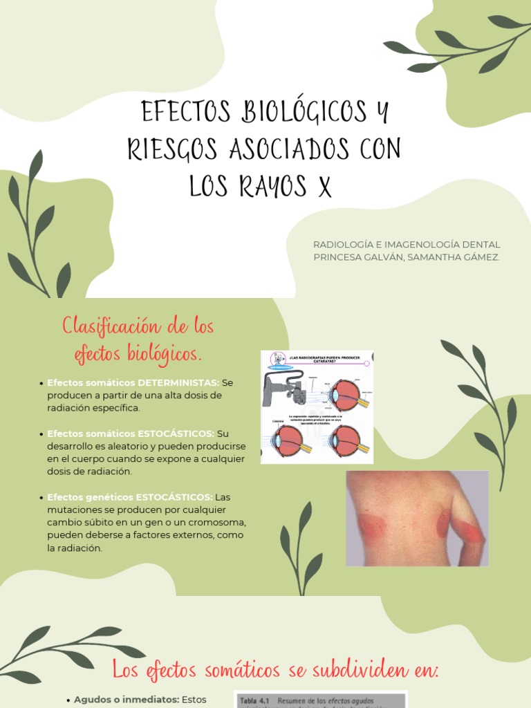 Efectos Biológicos y Riesgos Asociados Con Los Rayos X | PDF | Radiación ionizante | Radiobiología