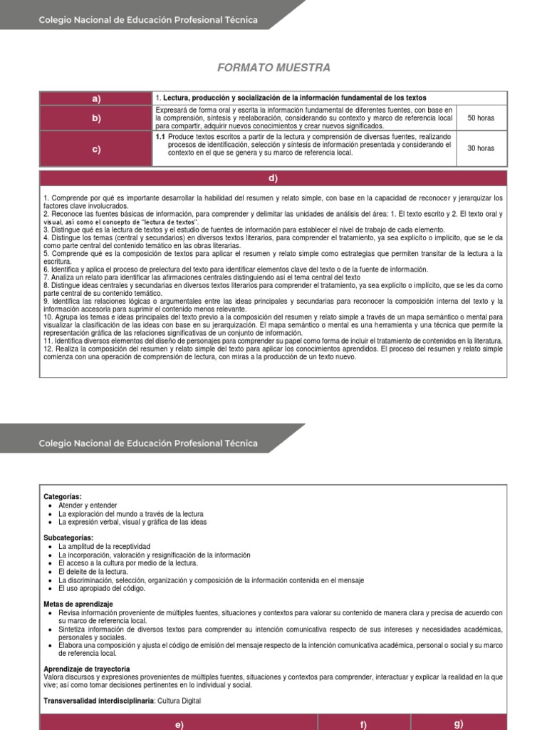 Formato Muestra Modelo 2023 | PDF