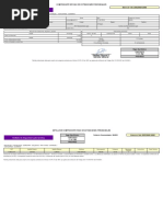 Plantilla de Autodeterminación TSS | PDF | Salario | Business