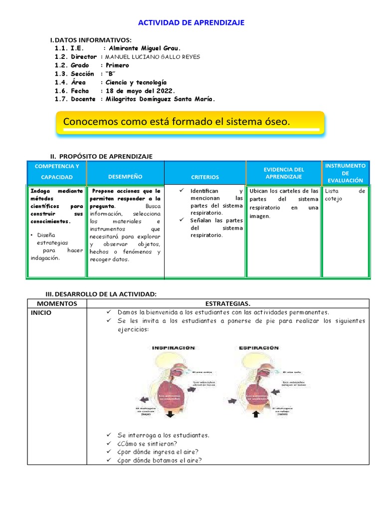 Actividad De Aprendizaje Sistema Oseo Pdf