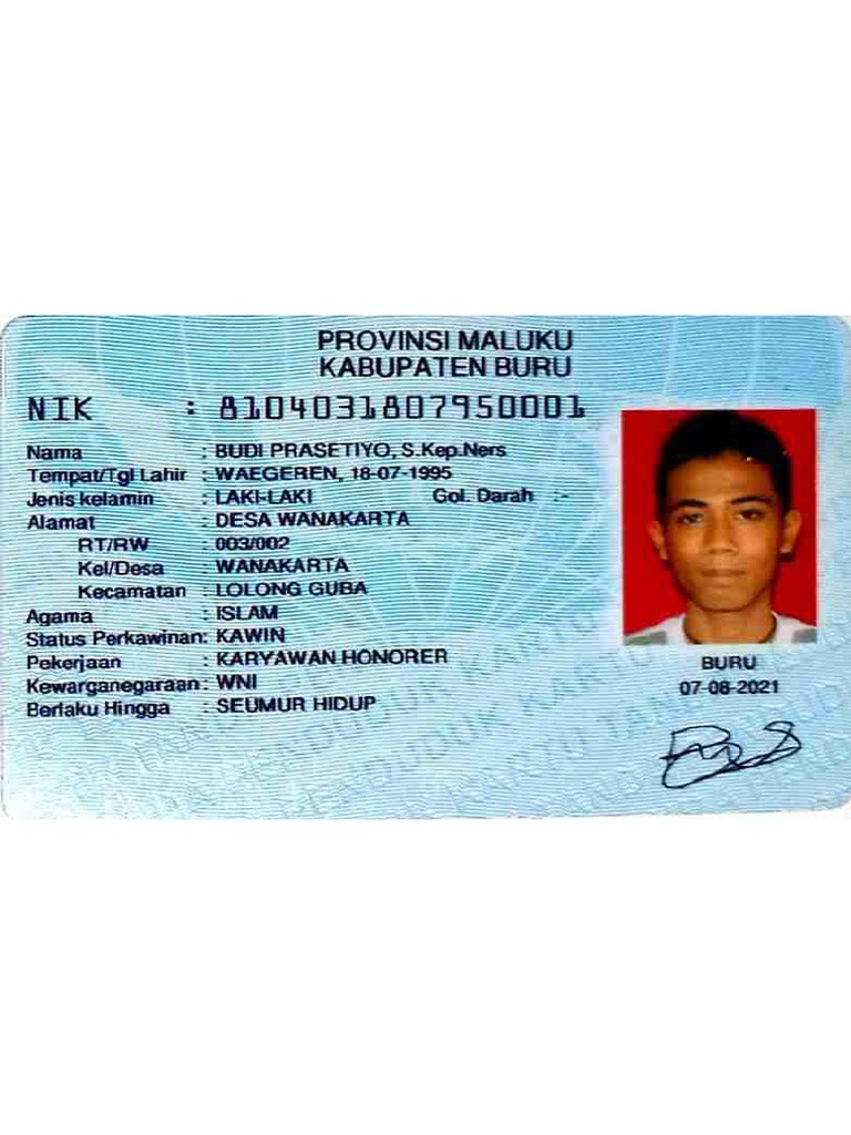 budi-pdf