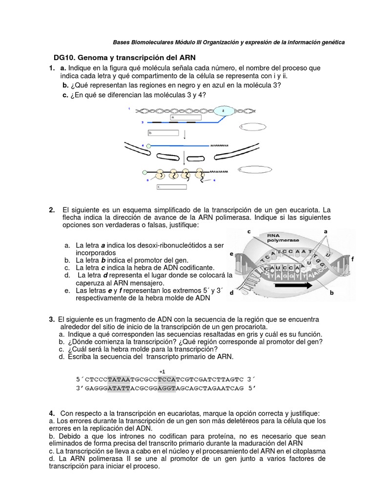 Discusión Grupal 10 | PDF