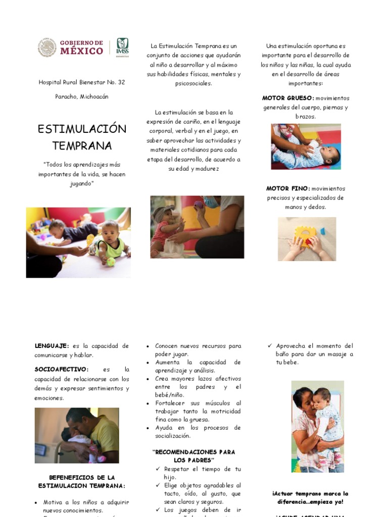 Estimulación Temprana | PDF | Neurociencia | Conceptos psicologicos