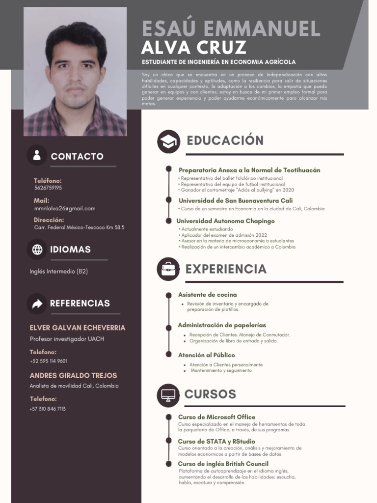 CV Emmanuel Alva | PDF