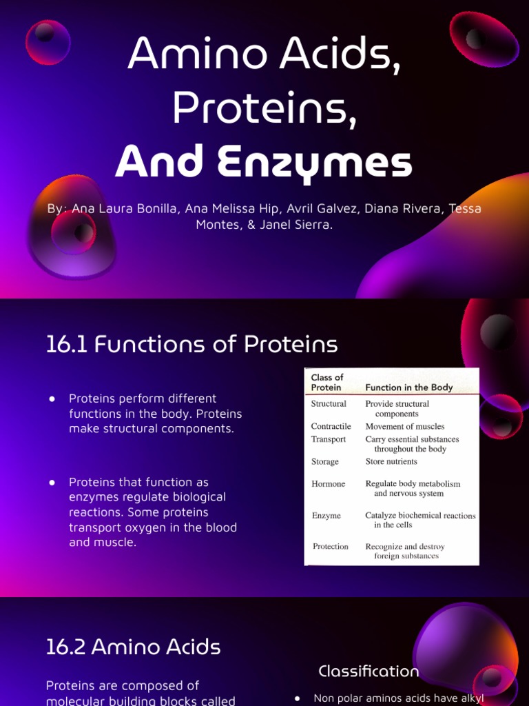 Amino Acids, Proteins, and Enzymes | PDF | Protein Structure | Enzyme