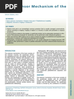 Rosenberg View | PDF | Radiology | X Ray