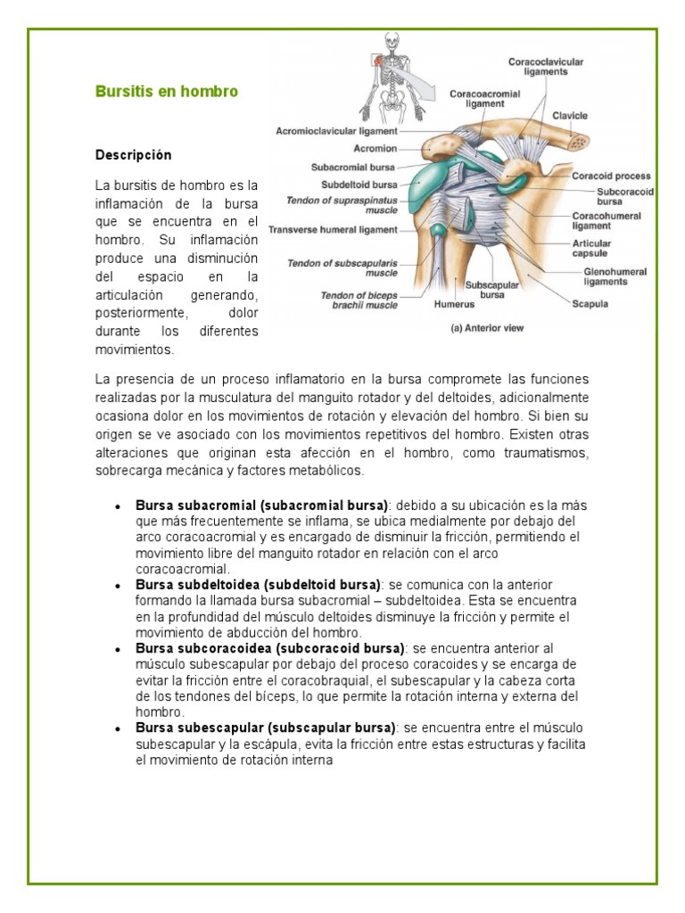 Bursitis de Hombro: Causas y Tratamiento | PDF | Hombro | Medicina CLINICA
