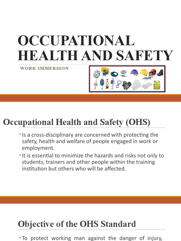 Occupational Health and Safety Pan | PDF