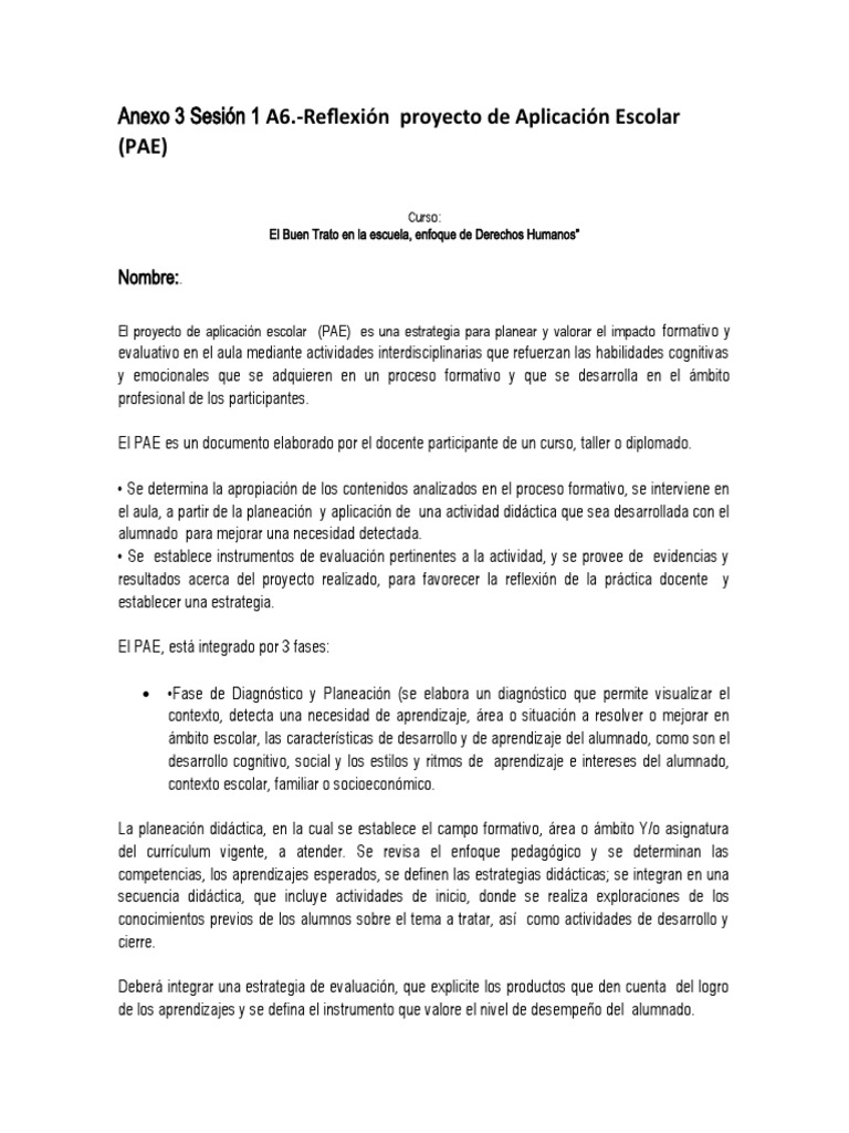 Reflexion Proyecto de Aplicacion (Pae) | PDF | Evaluación | Ciencia ...