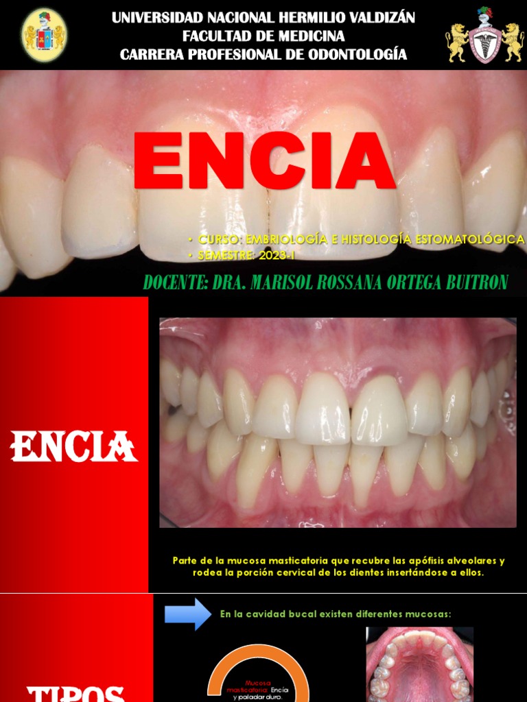 Embriologia de La Encia | PDF | Hogar, jardinería y bricolaje