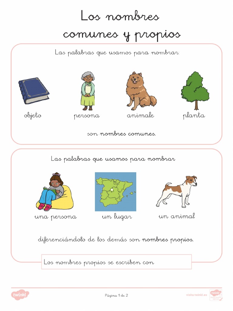Ficha de Actividad Los Nombres Comunes y Propios Editable | PDF