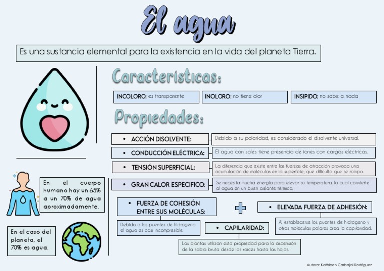 Infografia Del Agua - Cyt - Kathleen Carbajal Rodriguez, 4a | PDF