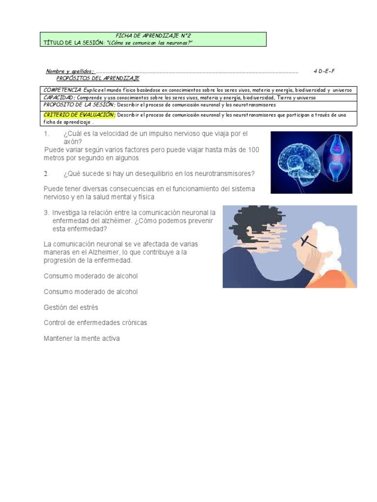 Ficha 4to Cómo Se Comunican Las Neuronas | PDF