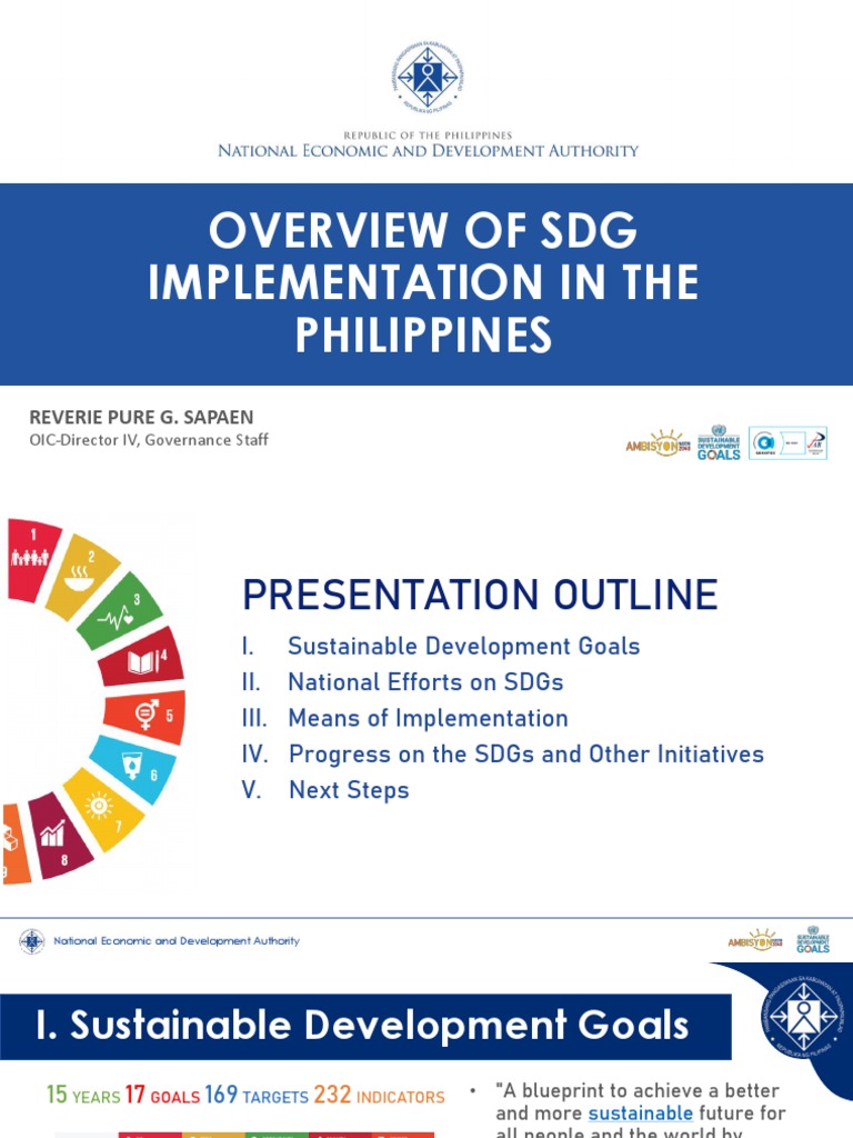 SDG Primer | PDF | Sustainability | Governance