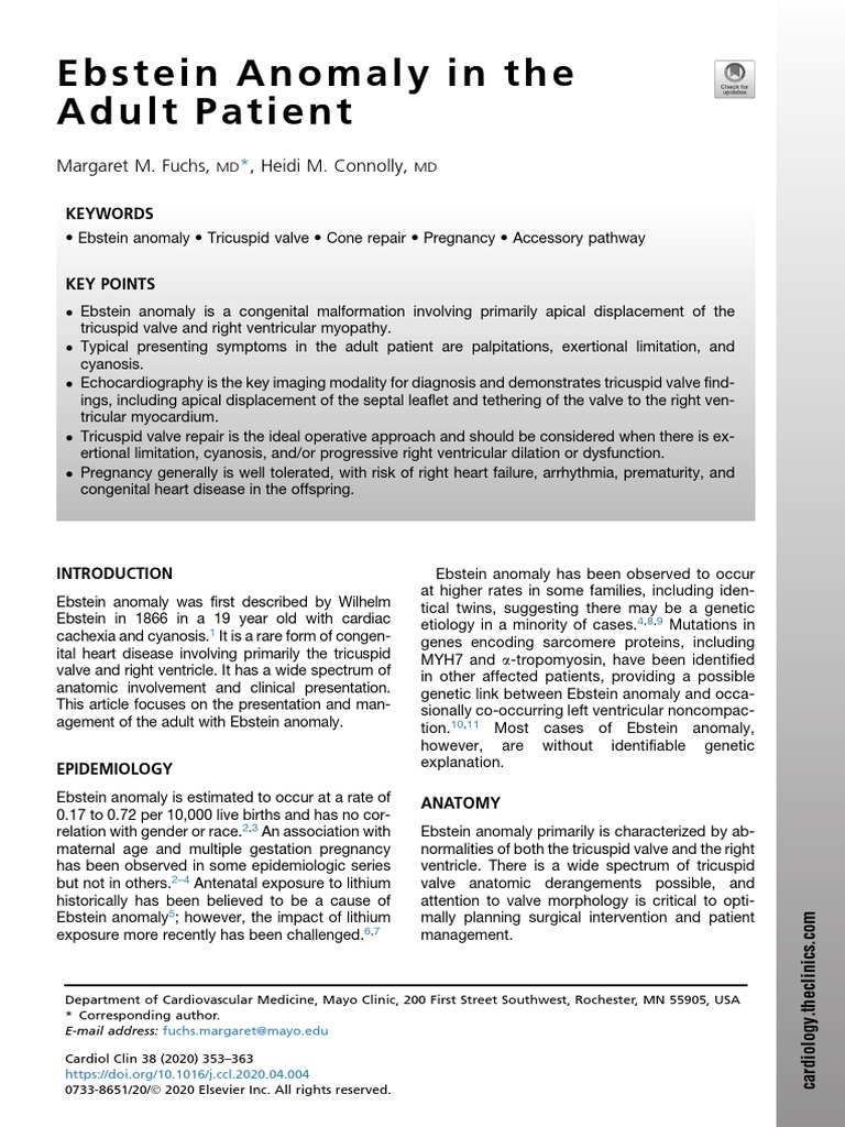 Ebstein Anomaly in The Adult Patient | PDF | Heart | Ventricle (Heart)