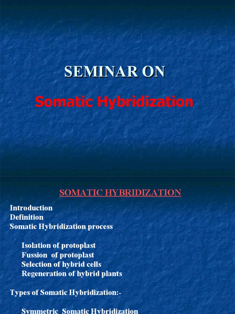 Somatic Hybridization | PDF | Ploidy | Hybrid (Biology)