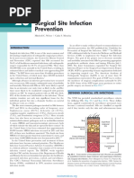 AORN Surgical Wound Classification Decision Tree | PDF